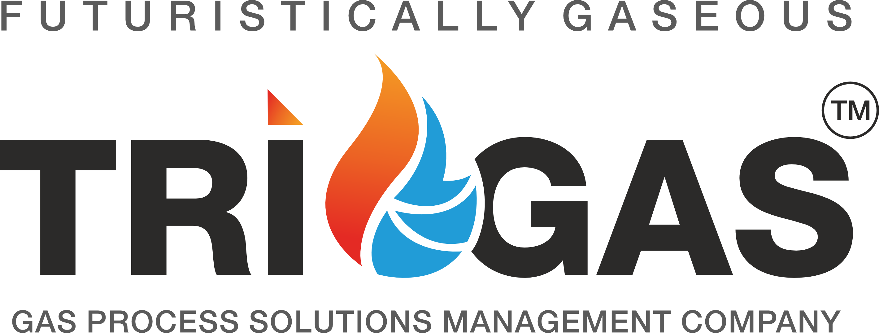 TRIGAS- Gas Process Solutions Management Company